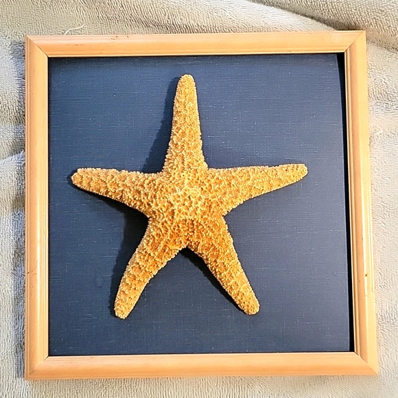 Art | Real Starfish Art | Poshmark